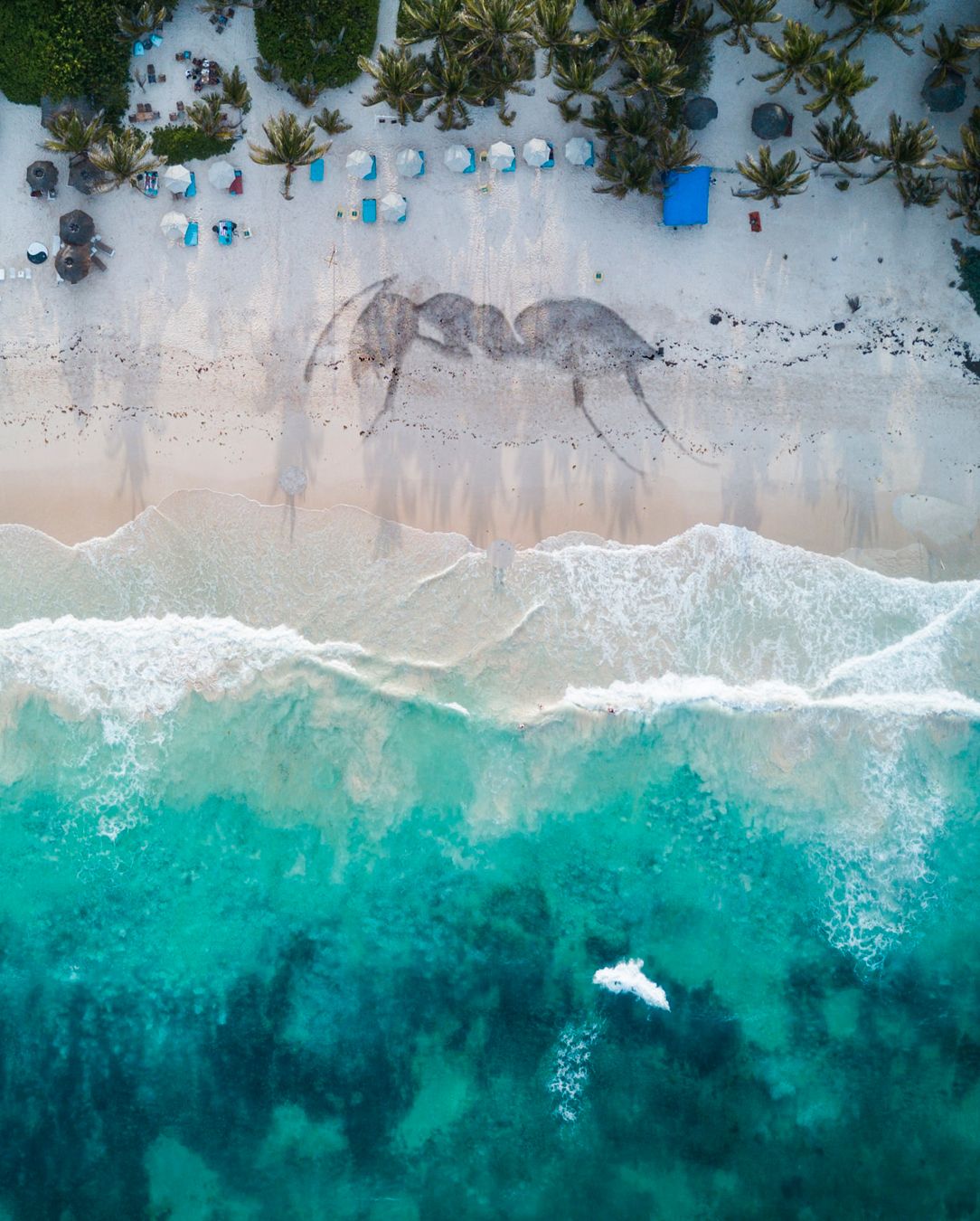 Lineup For ANTS Tulum Revealed | ANTS