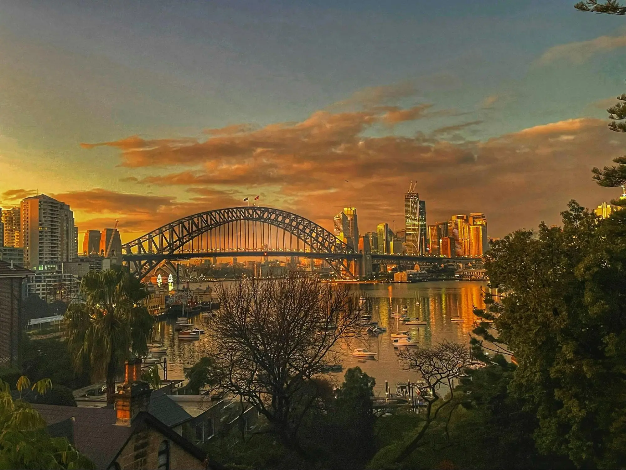 Explore ACU in Sydney: A Student’s Guide to Campus Life and Academics