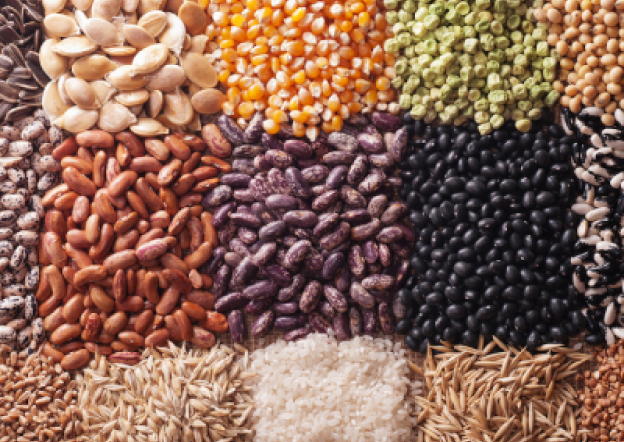 Seed | CNI Ag