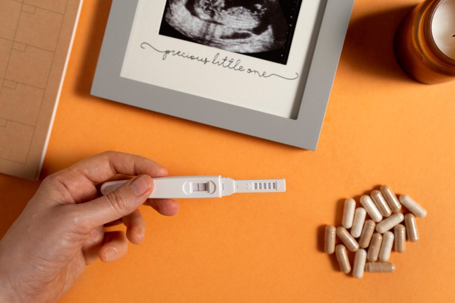 Clinique Molière Blog — How to Choose a Certified Placenta ...