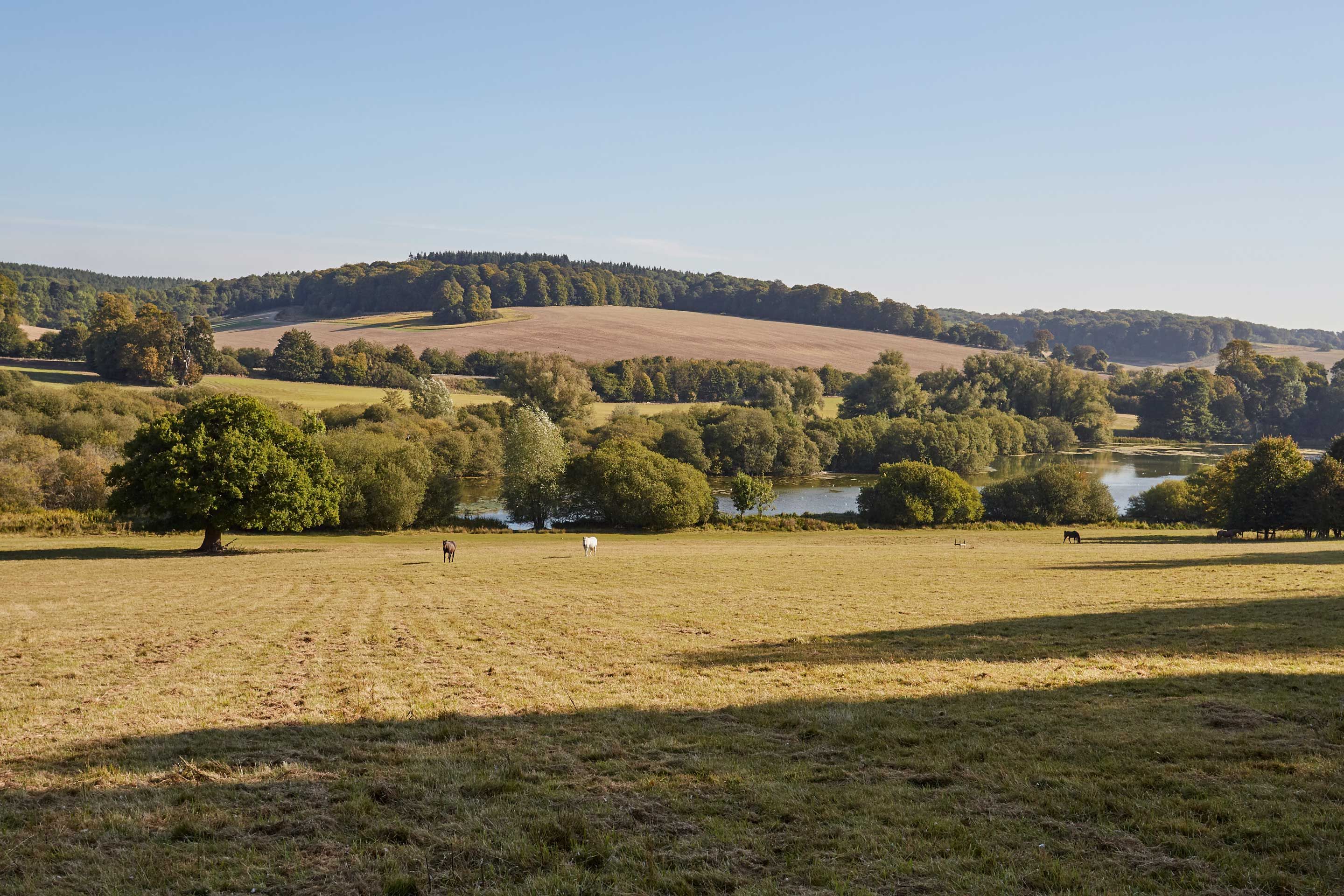 Misbourne Valley | Love Locations