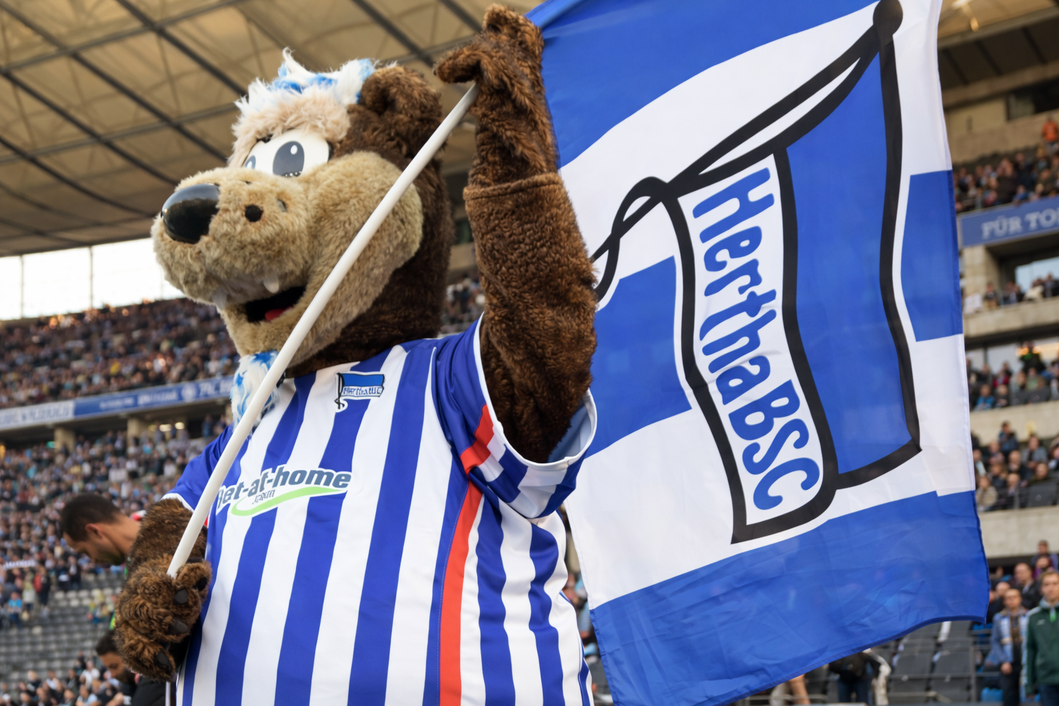 Hertha BSC - Hannover 96 - Book with Sembo