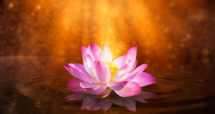 Spiritual Flowers | Spiritual Meaning | Trusted Psychics