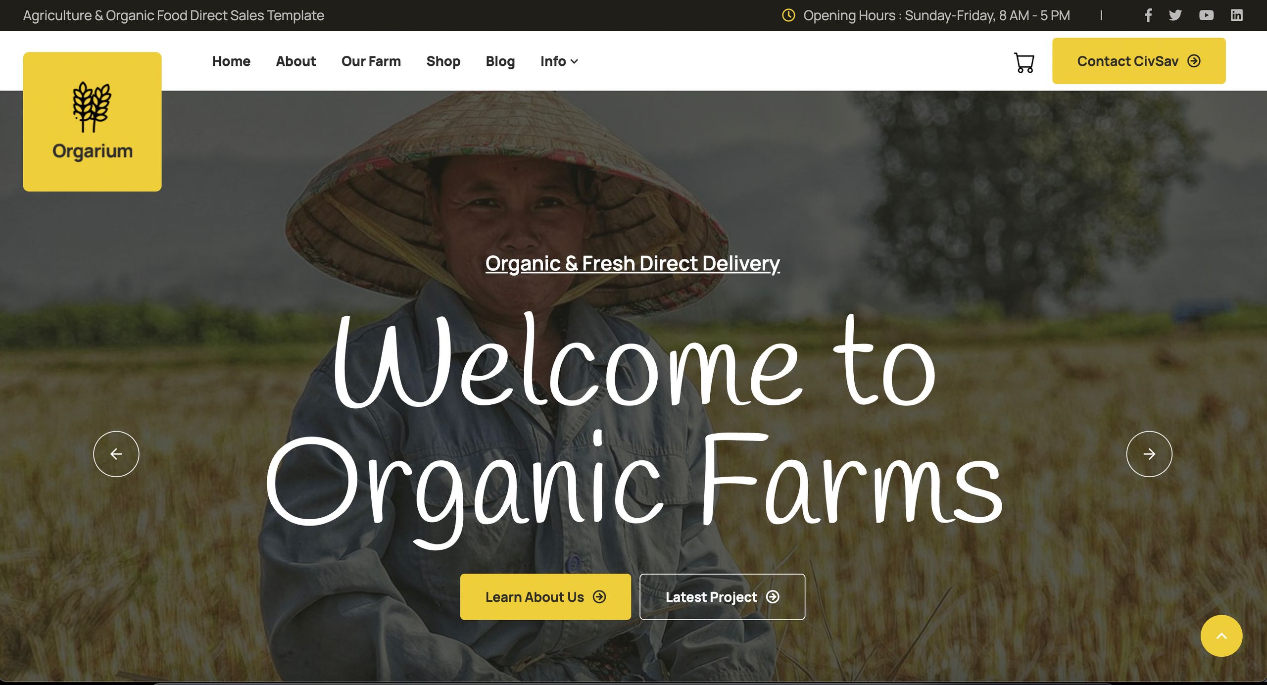 Headless Website Templates | Headless CMS Pre-Build | Headless Page Builder