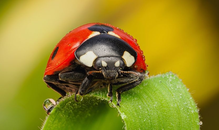 OM SYSTEM Aparaty, Obiektywy, Audio i lornetki | OM SYSTEM Polska