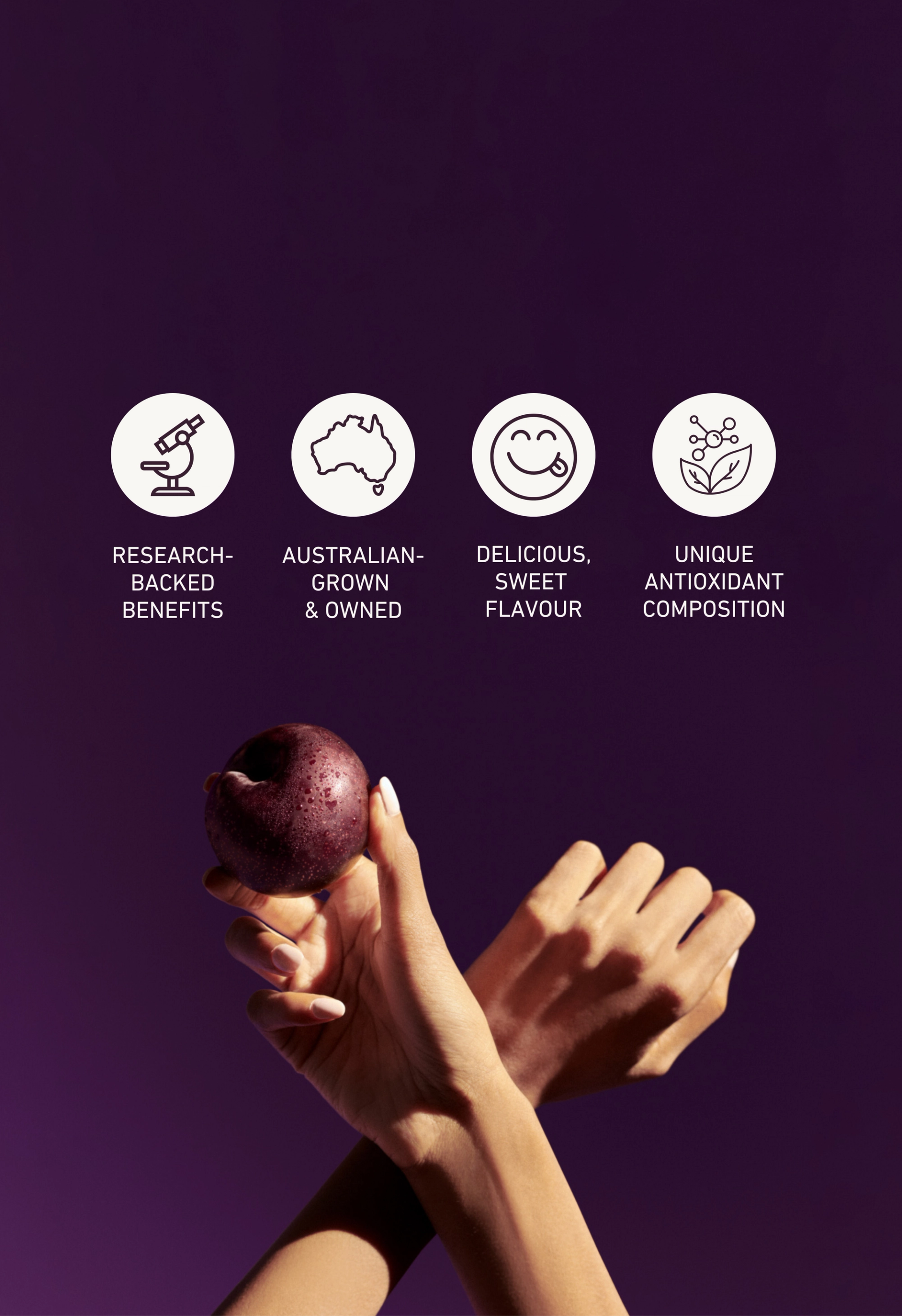 Fresh Fruit – Queen Garnet – Australia’s own antioxidant superfood