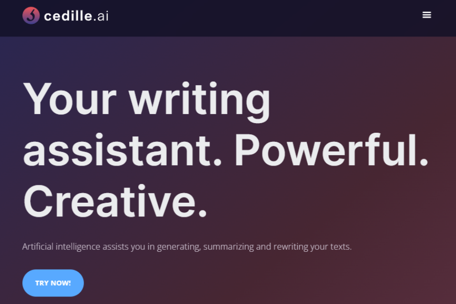 Cedille.ai - Features, Pricing, Reviews & More 2024