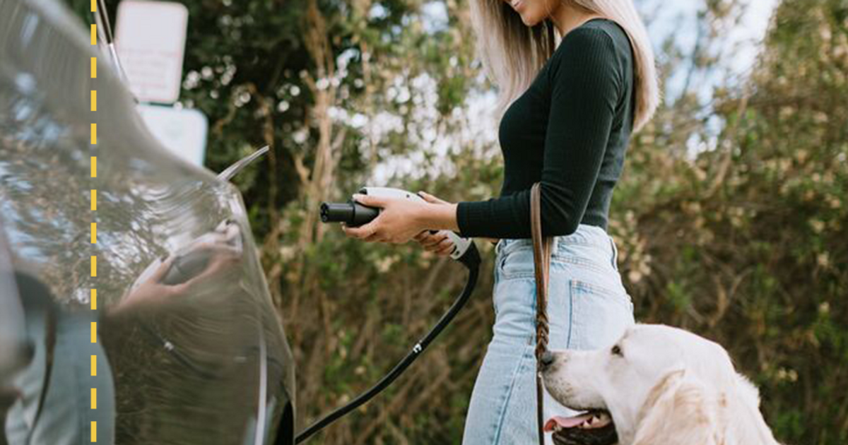 Welcome | Shell StartUp Engine