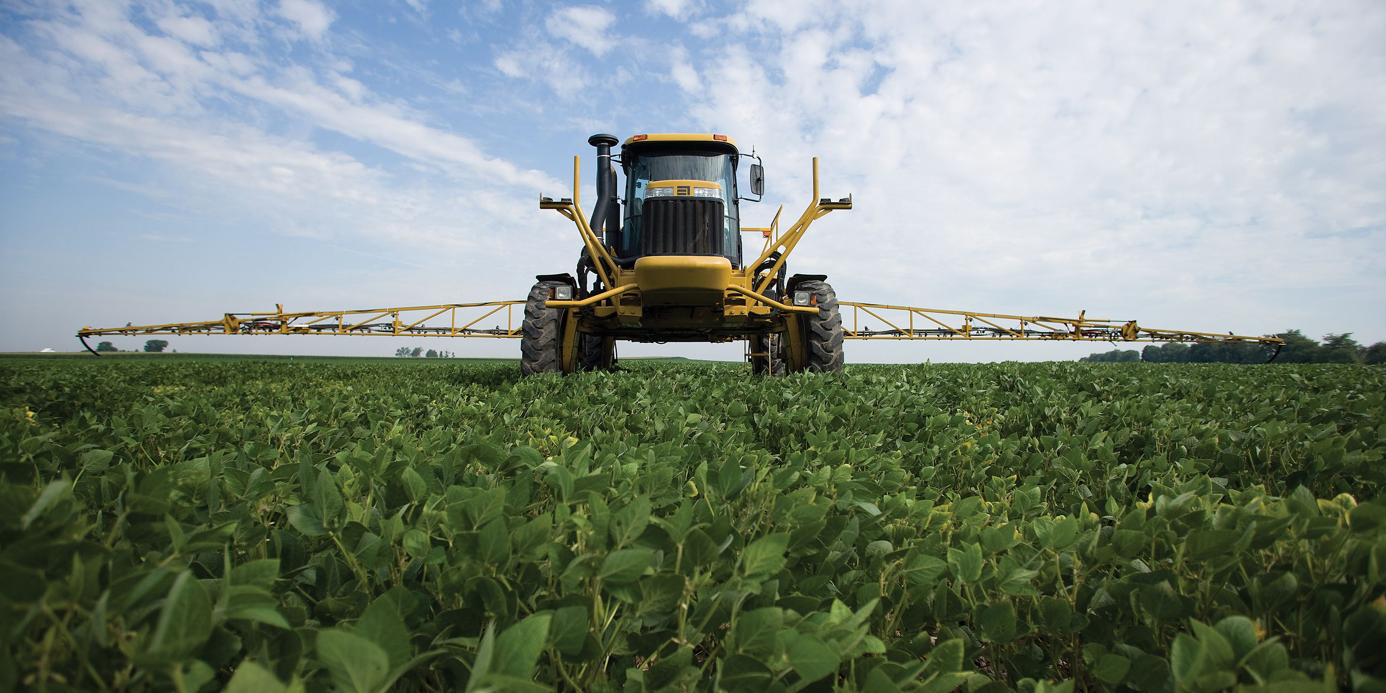Biostimulants That Strengthen Crop Performance | Nutrien