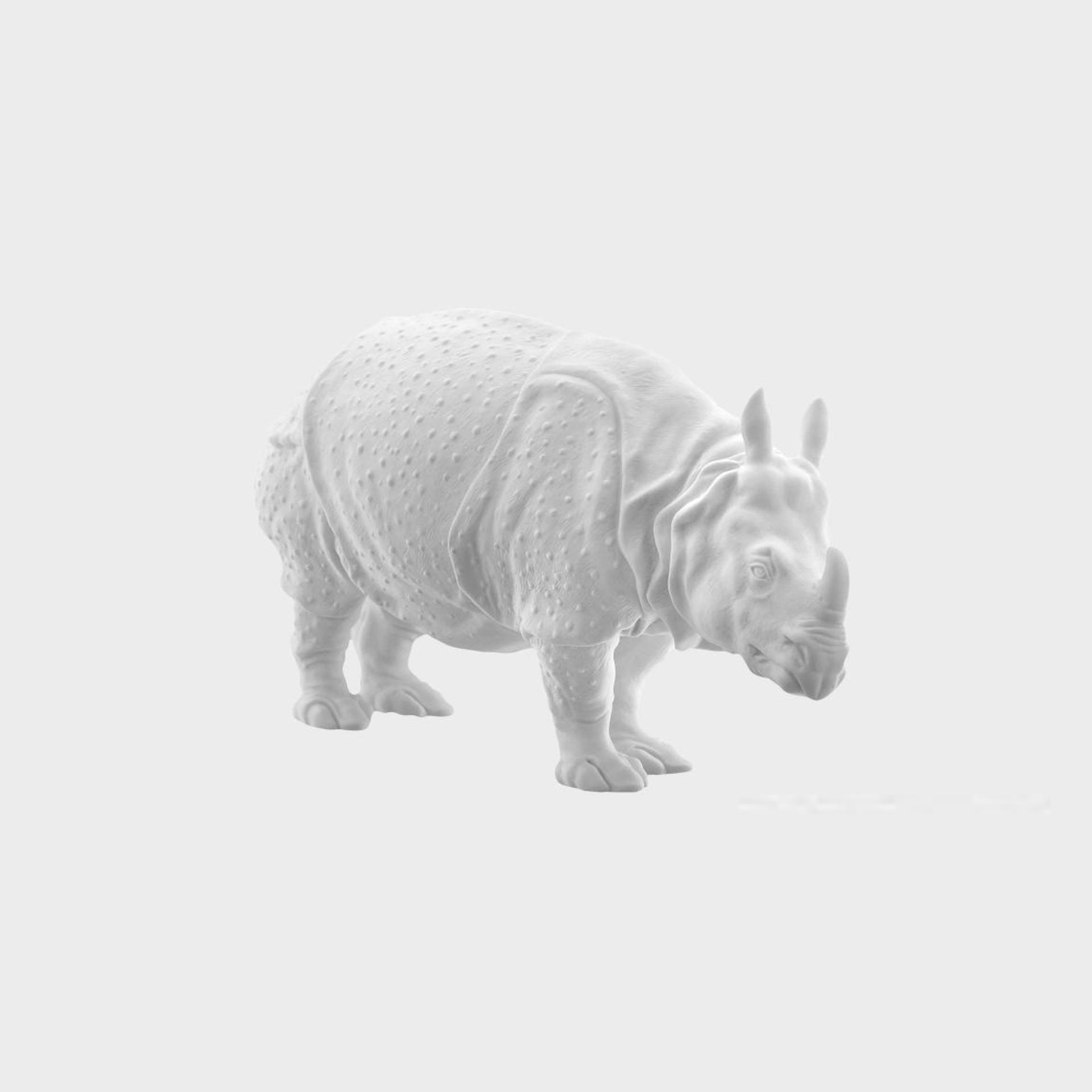 RHINOCEROS CLARA – Les Atelier Courbet