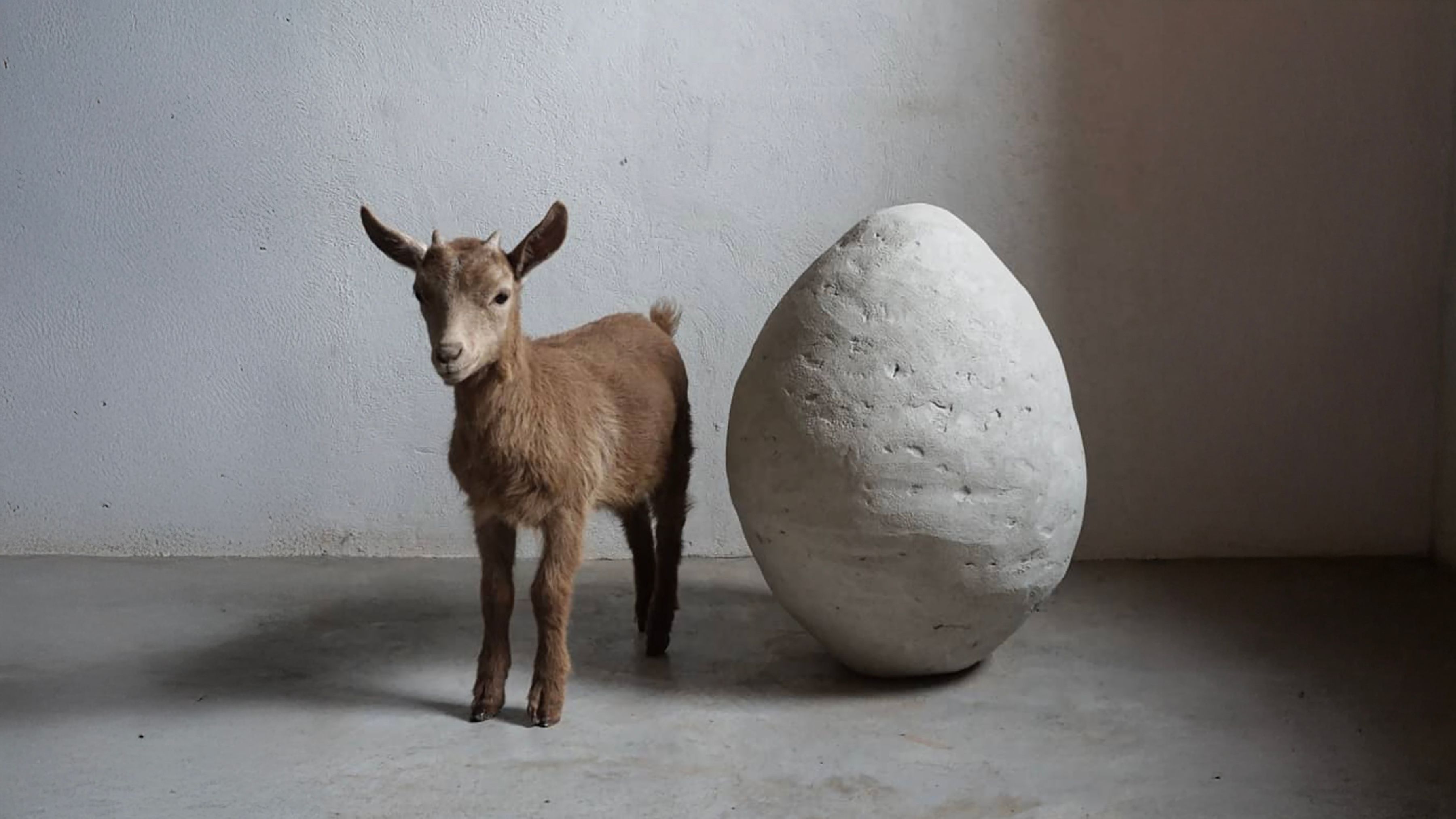 Ateliers Courbet: Jaume Roig