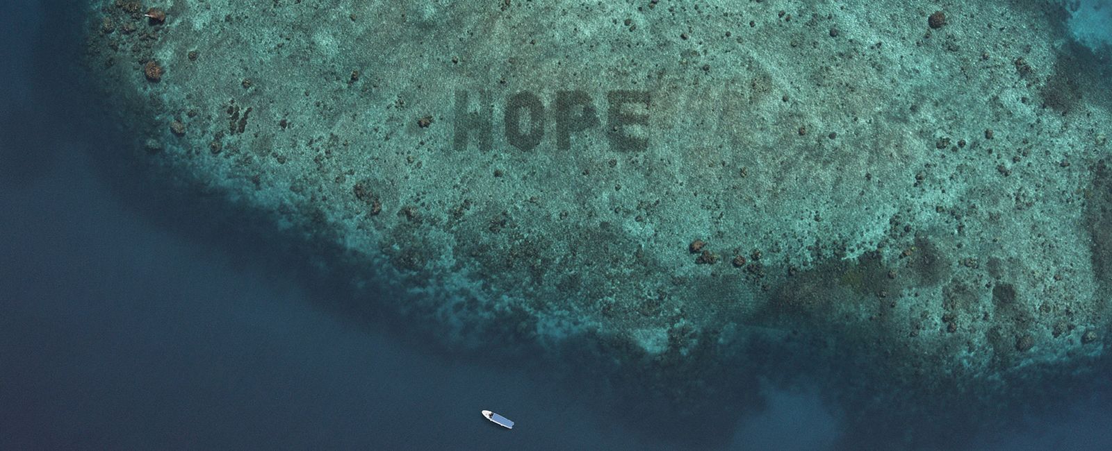 Sheba | Proud Robinson + Partners