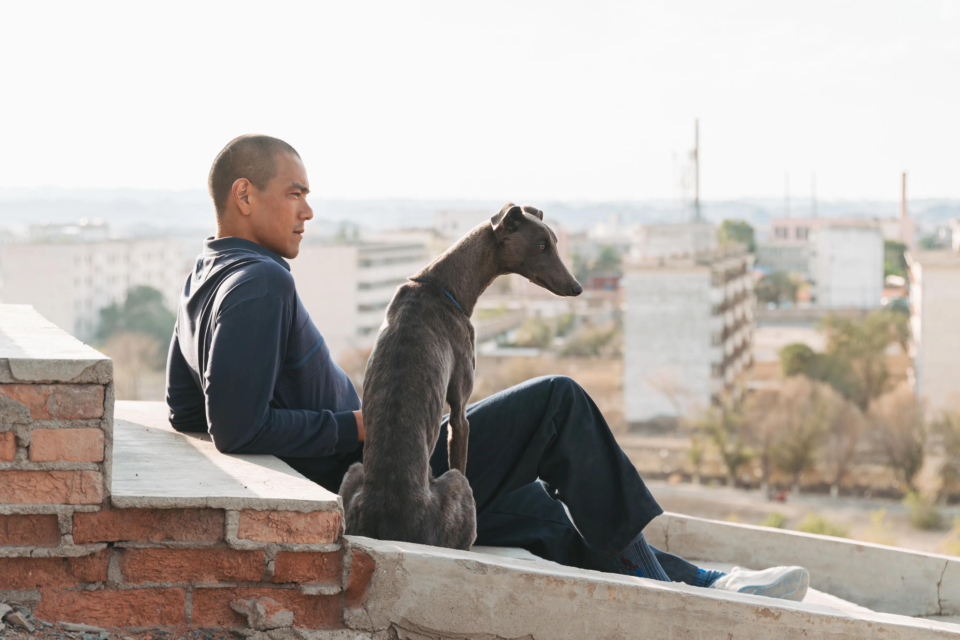Black Dog | Bø Kino