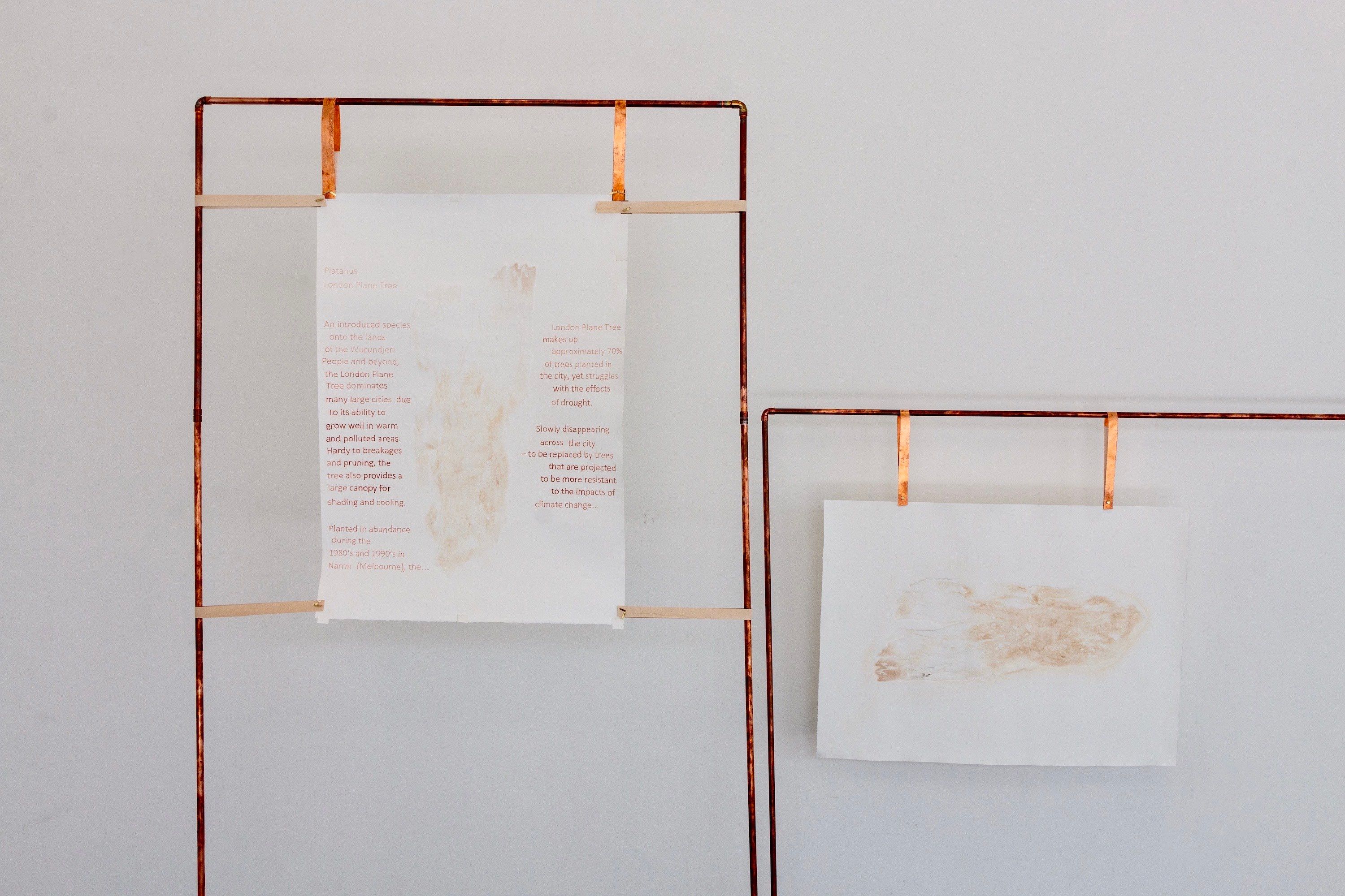 Jessica Rowe | VCA Art 2023