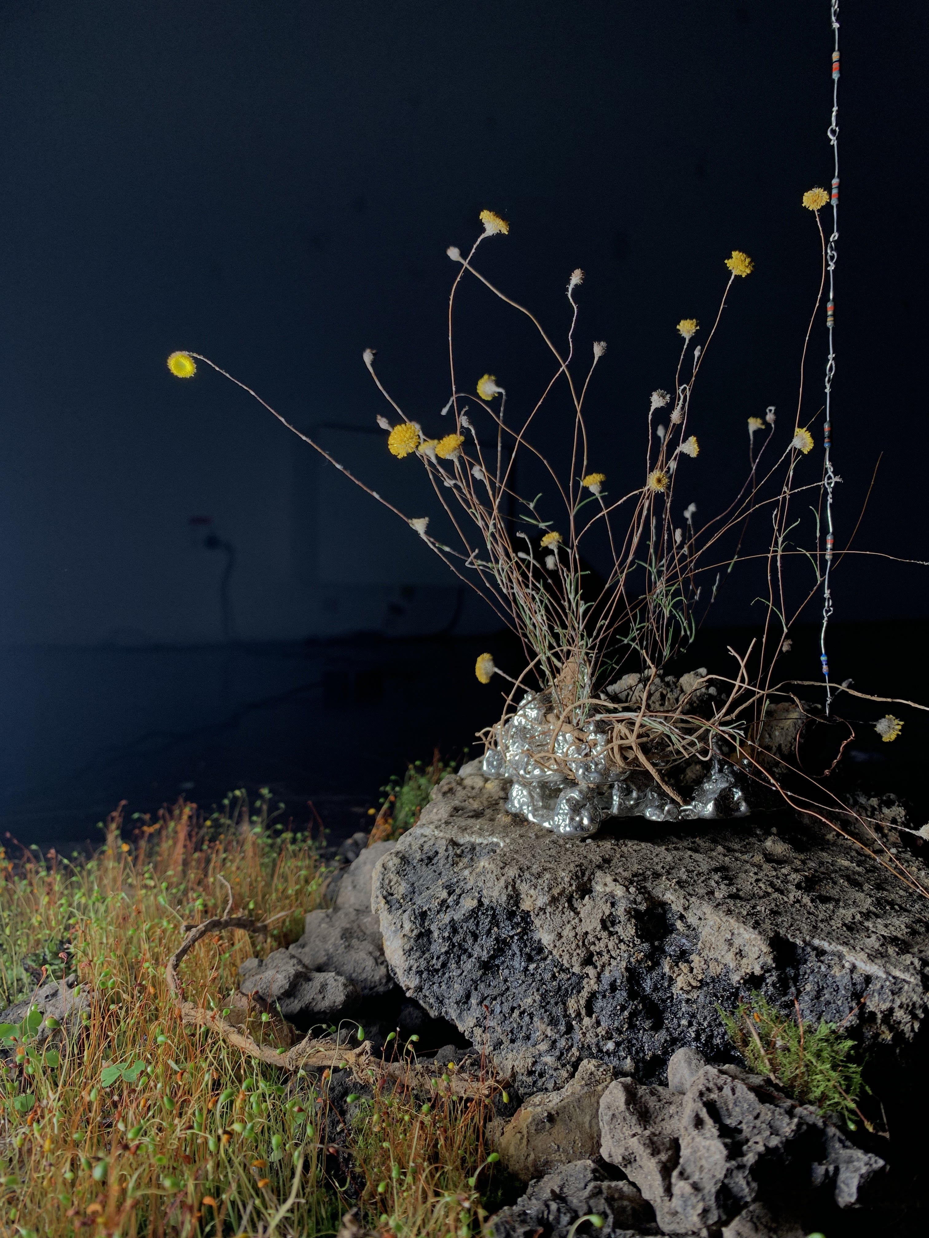 Bachelor of Fine Arts (Sculpture) | VCA Art 2023