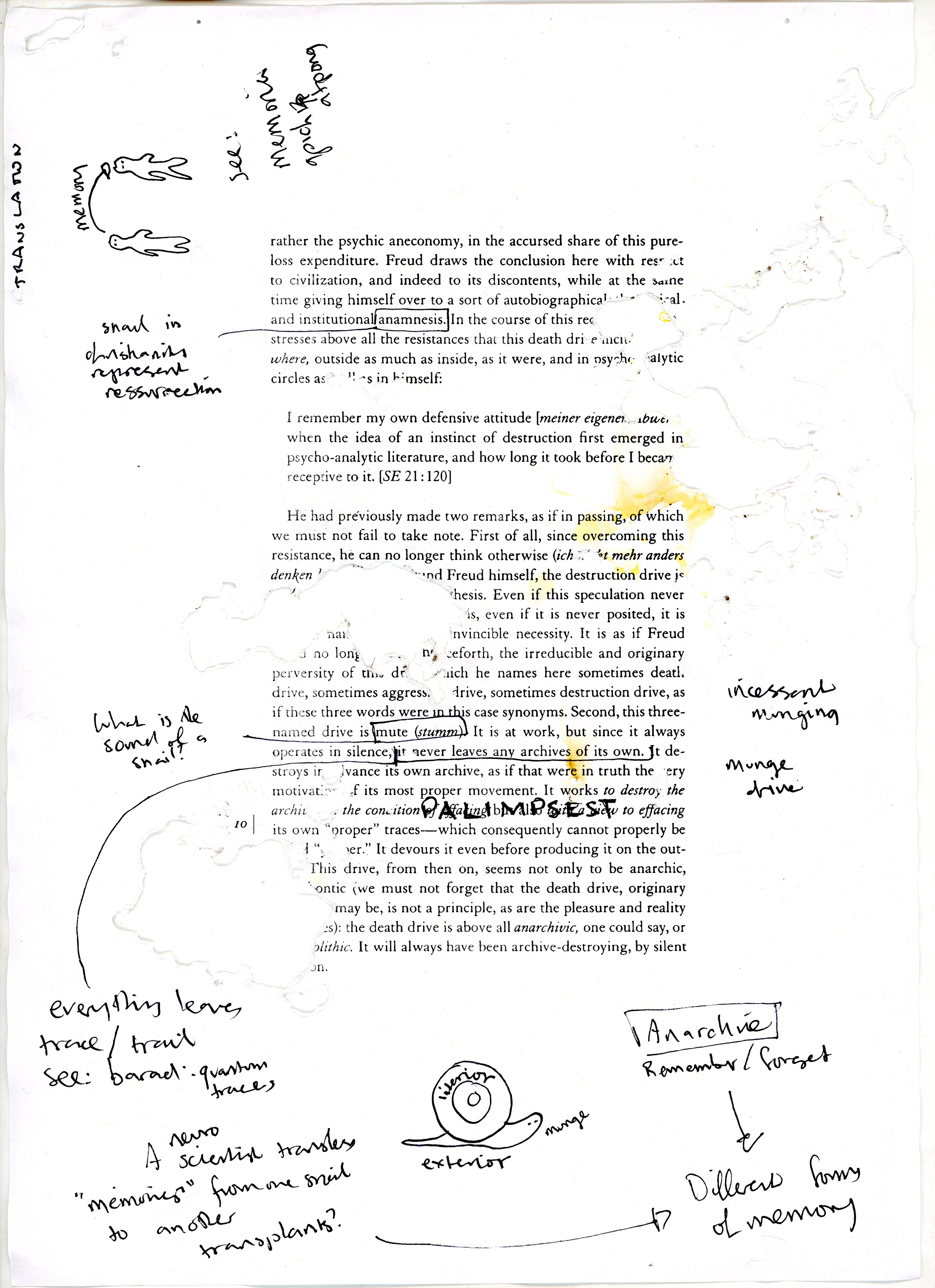 James Nunn | VCA Art 2023