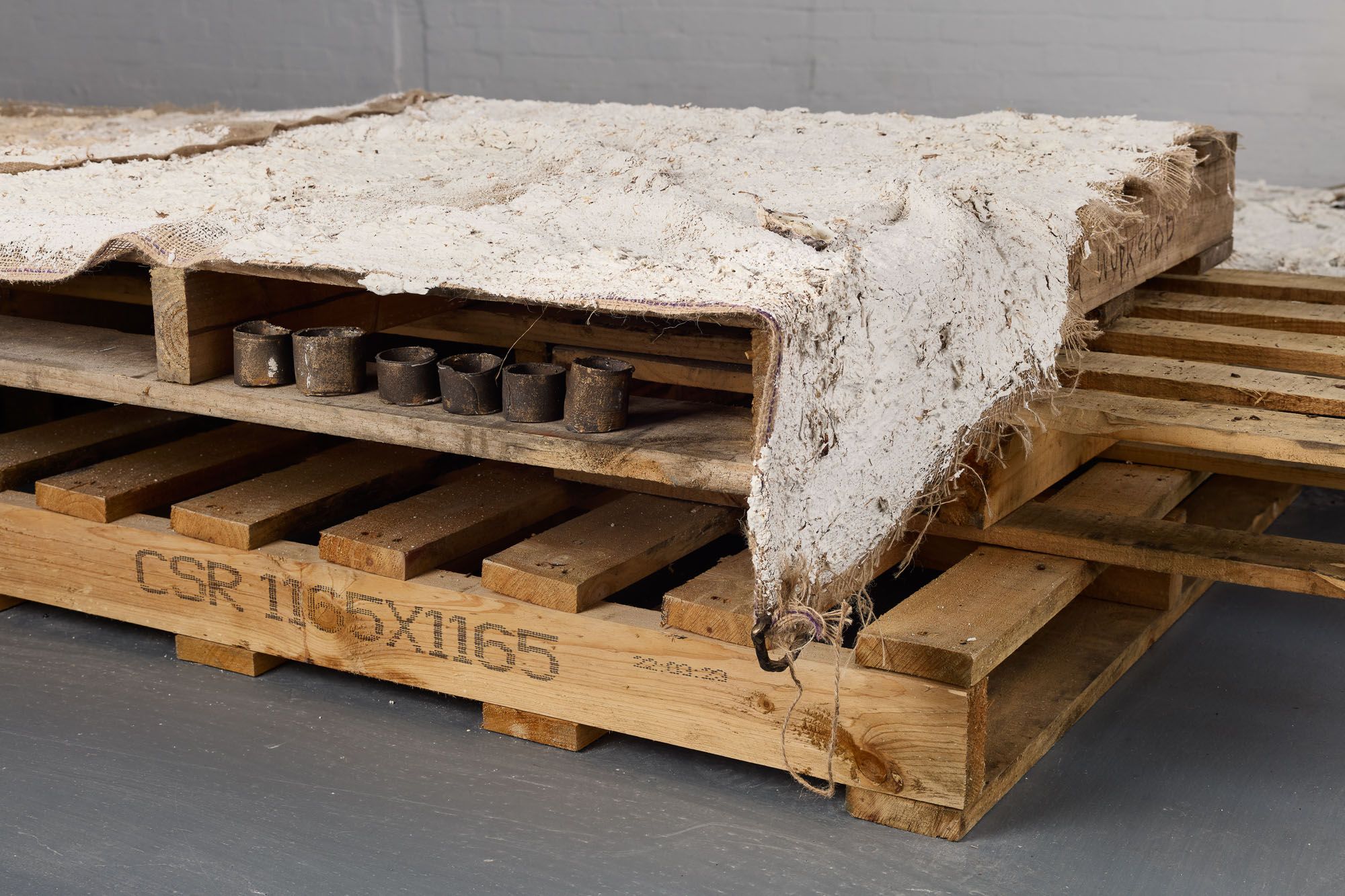 Alula McGlashan-Rabik | VCA Art 2023