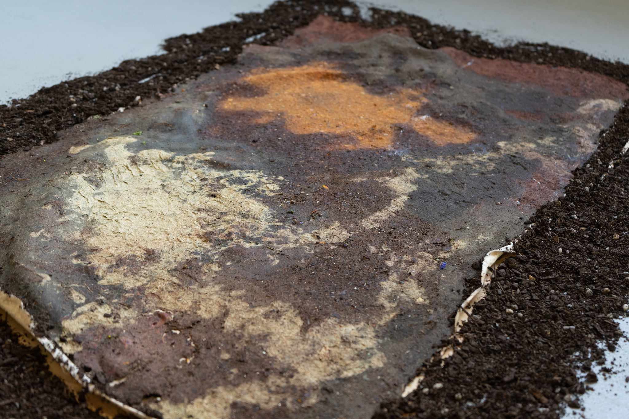 Rochelle Morris | VCA Art 2023