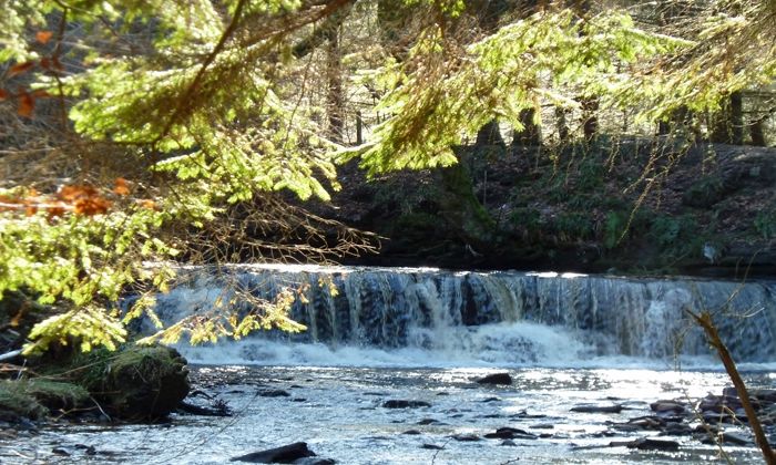 Calderglen Country Park & Zoo - VisitSeeDo