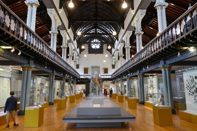 Hunterian Museum and Art Gallery - VisitSeeDo
