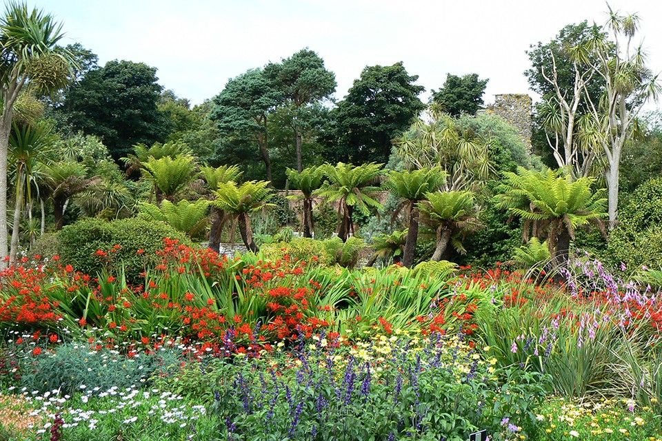 Logan Botanic Garden - VisitSeeDo
