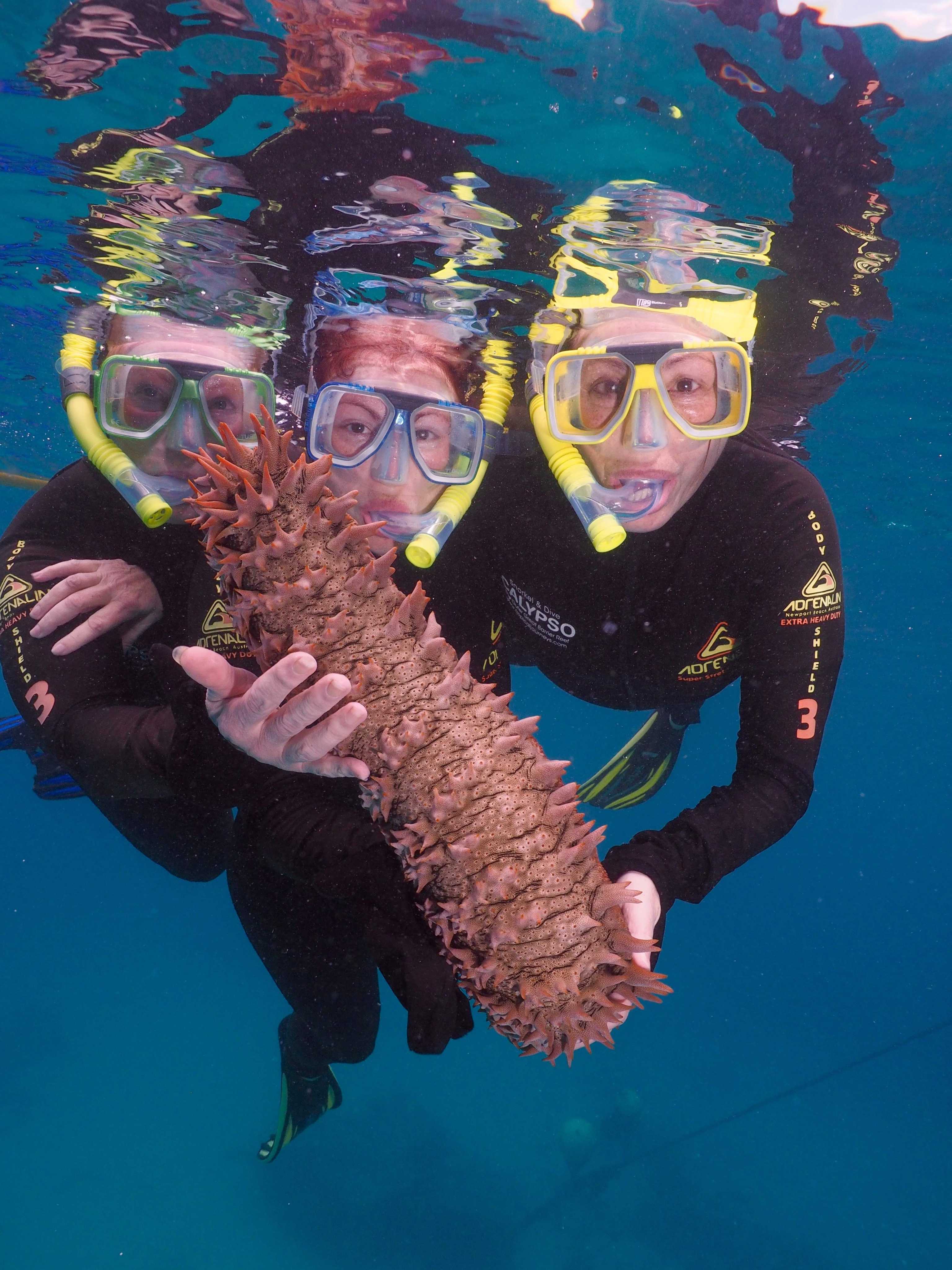 Testimonials - Faye Travel Insurance