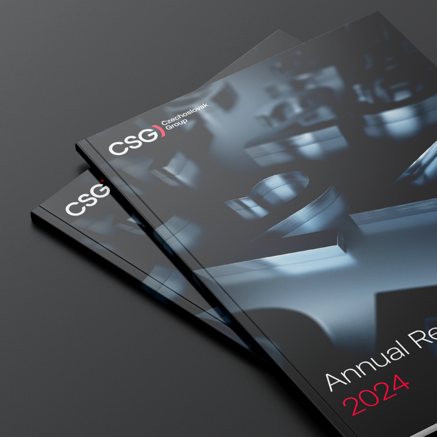 Annual Report 2024 | CSG