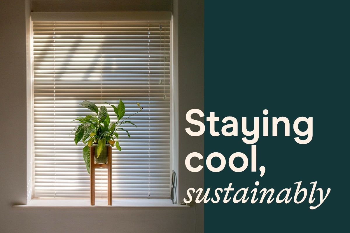Chilling out in the summer sun: sustainable home cooling tips | Pod ...