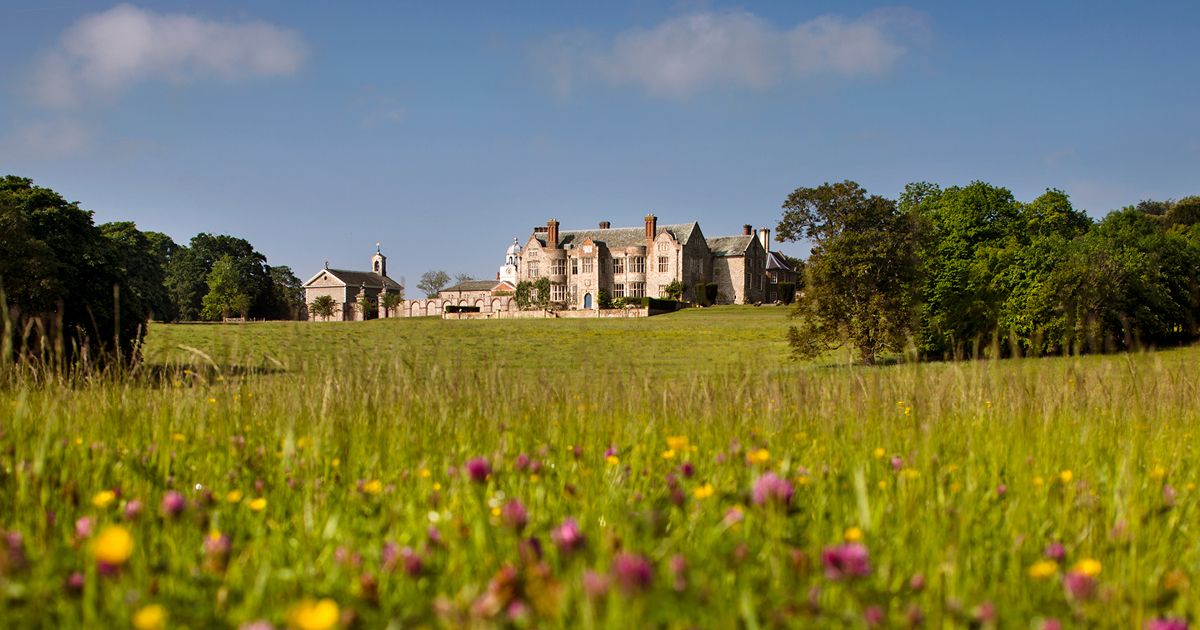 Glynde Whole Estate Plan – a foundation for the future - Rural Planning ...