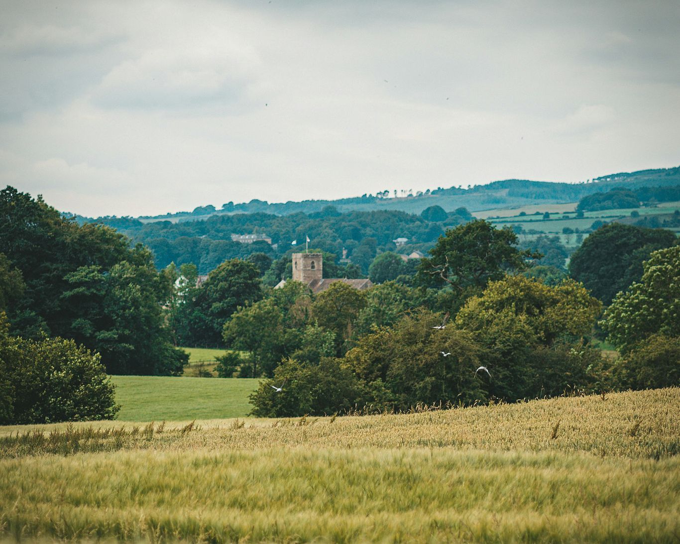 The Land Use Framework explained - Rural Planning & Diversification Experts