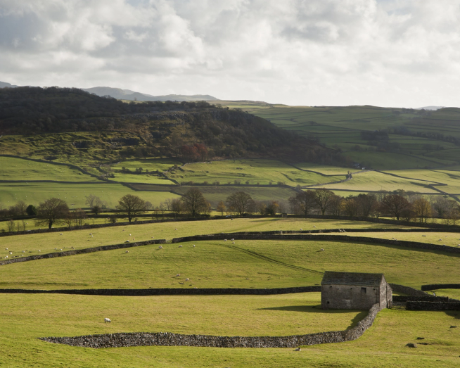 Latest News Updates - Rural Planning & Diversification Experts