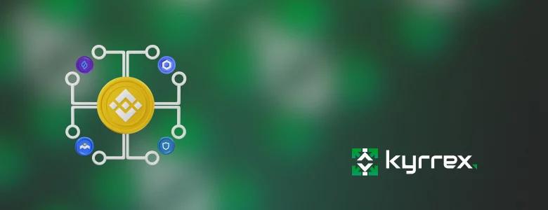 Top 10 Innovative Tokens on the Binance Smart Chain | Kyrrex Blog