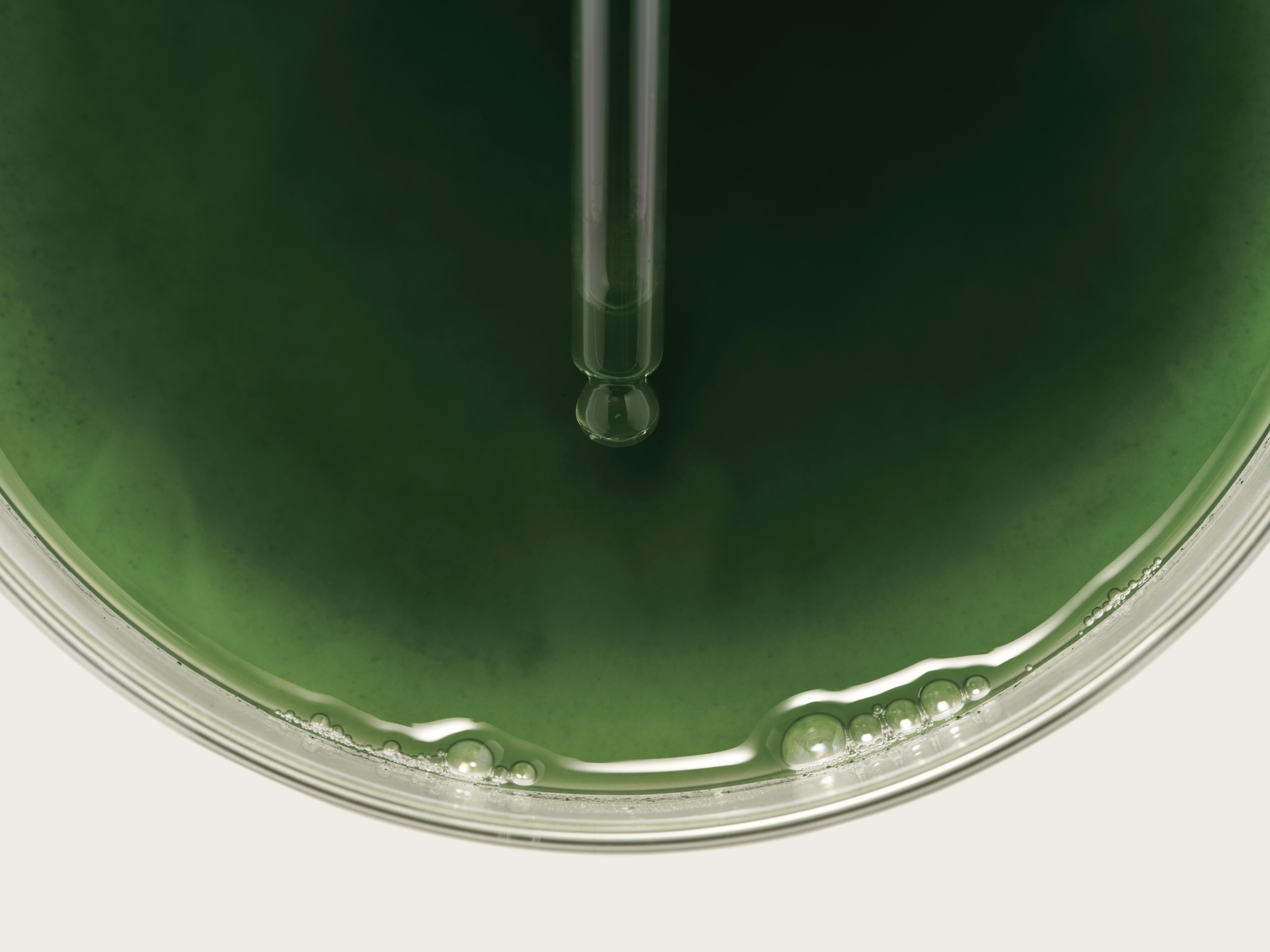 AG1 Next Gen is here with exciting upgrades! Discover the enhanced formula.