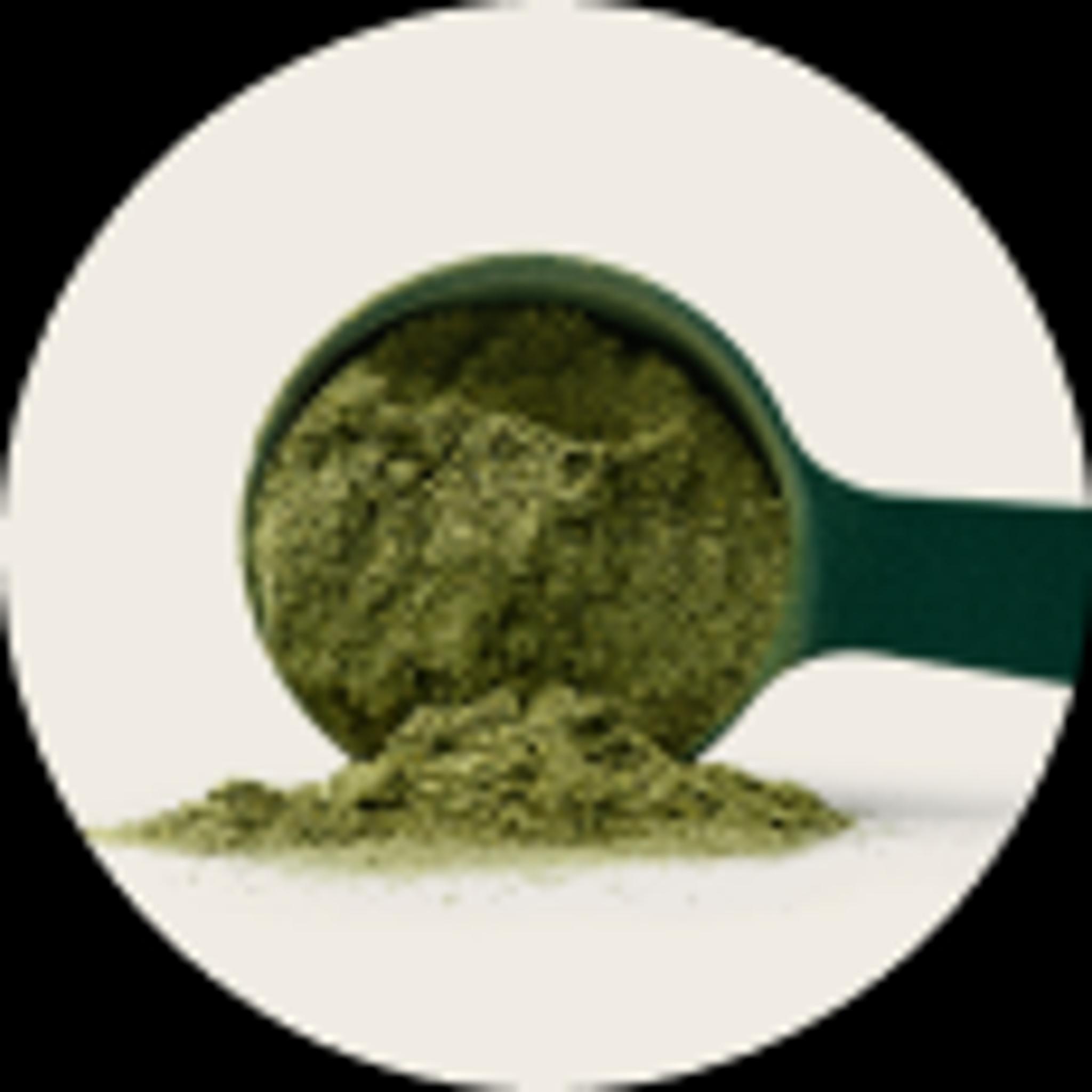 Research Studies | AG1®