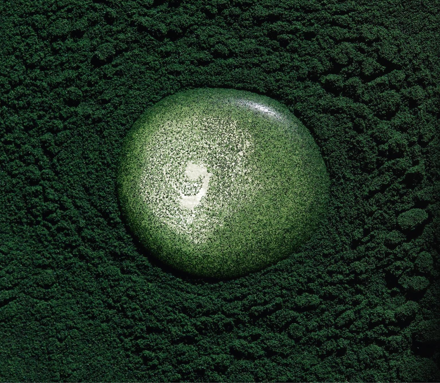 AG1® | Quality and Standards