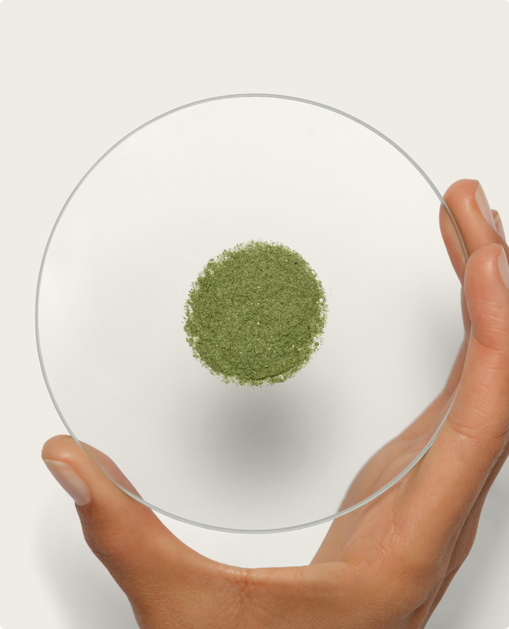 AG1® | Benefits - How AG1 Supports Your Health Goals