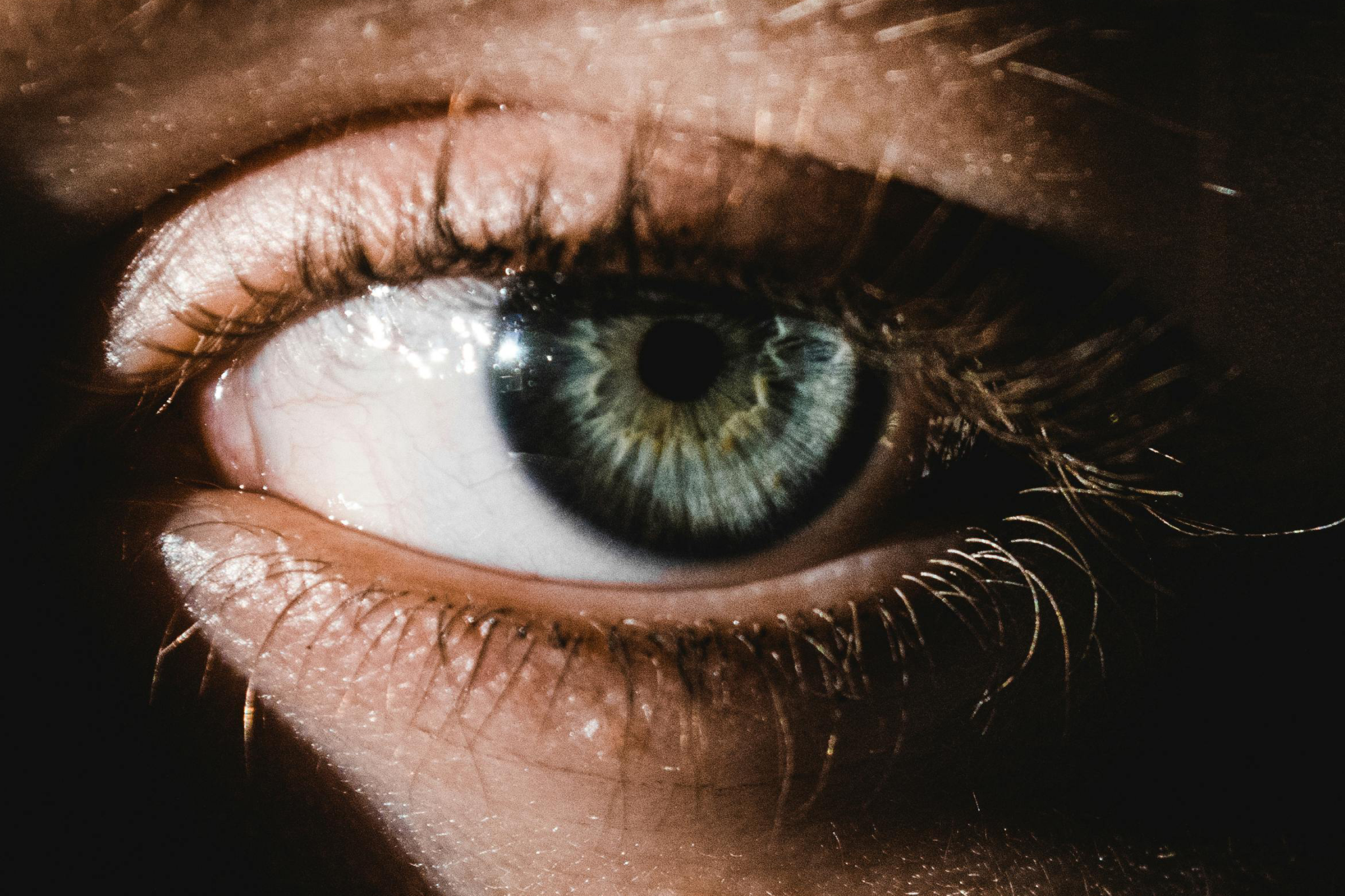 How to Support Eye Health Through Proper Nutrition | AG1