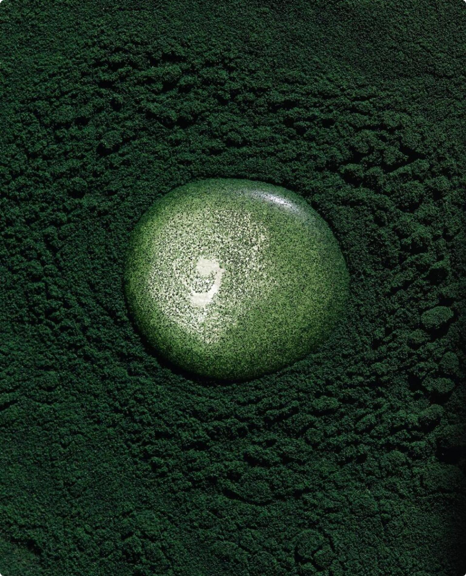 AG1® | Benefits - How AG1 Supports Your Health Goals