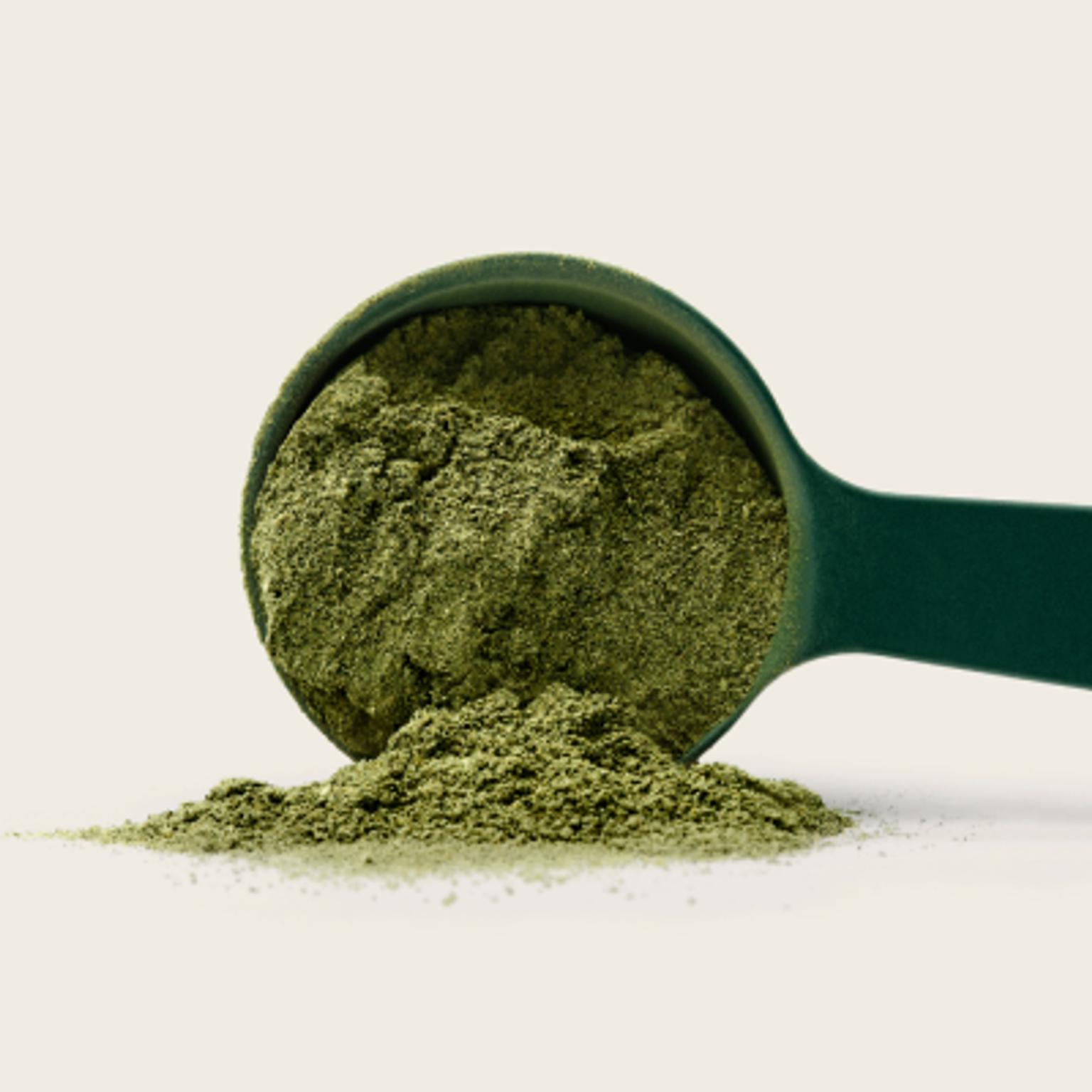 AG1 Research Studies