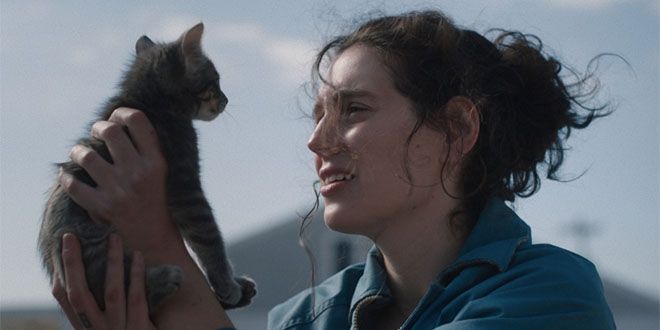 IZABRAO MIRO NIKOLIĆ: Najbolji filmovi i najveća razočaranja 2025 ...