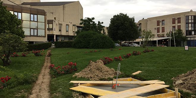 Plavo stablo će se postaviti kod Doma mladih | Dalmatinski Portal