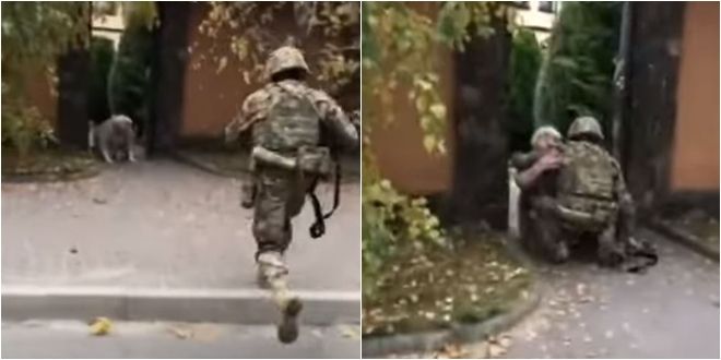 VIDEO Baka dočekala unuka vojnika na koljenima | Dalmatinski Portal