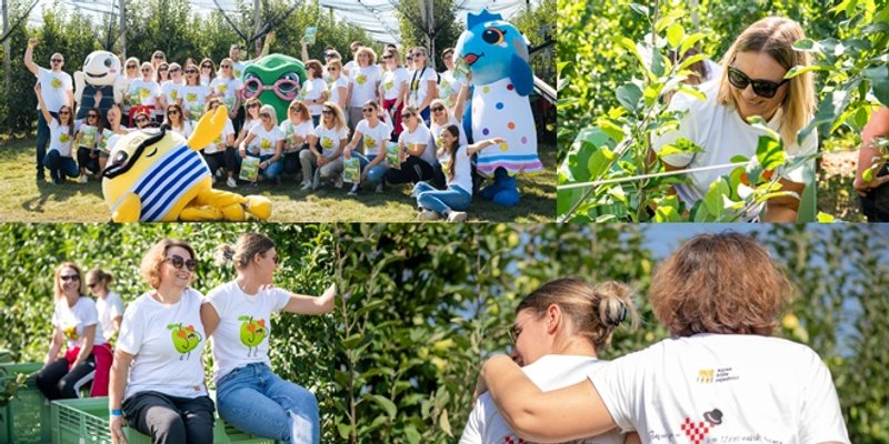 Zaposlenici Studenca ured zamijenili slavonskom ravnicom | Dalmatinski ...
