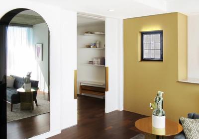 Cavity Slider Pocket Door Frame | CS Cavity Sliders USA