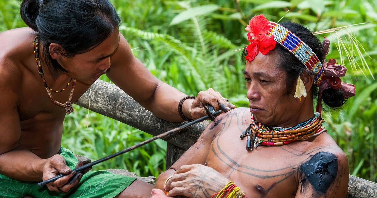 Where Skin Remembers What History Tried to Forget