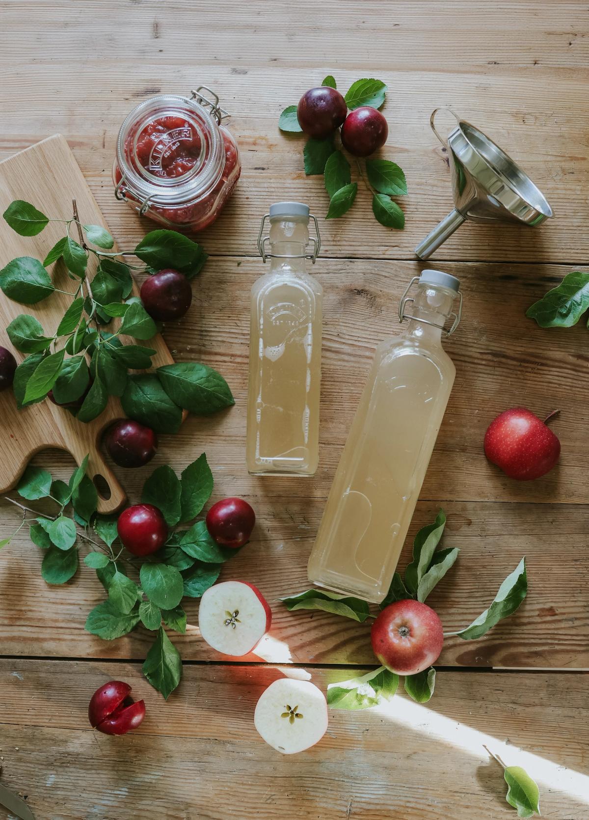 Safta & sylta - den stora guiden - Cervera