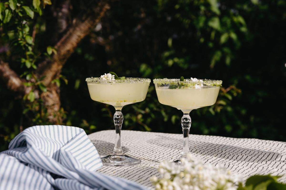 Sitron-gin slush - Oppskrift - Cervera