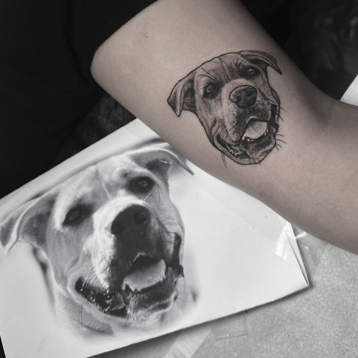 Alexa Barricelli | Tattoo Artist | Bay Ink Tattoo & Piercing