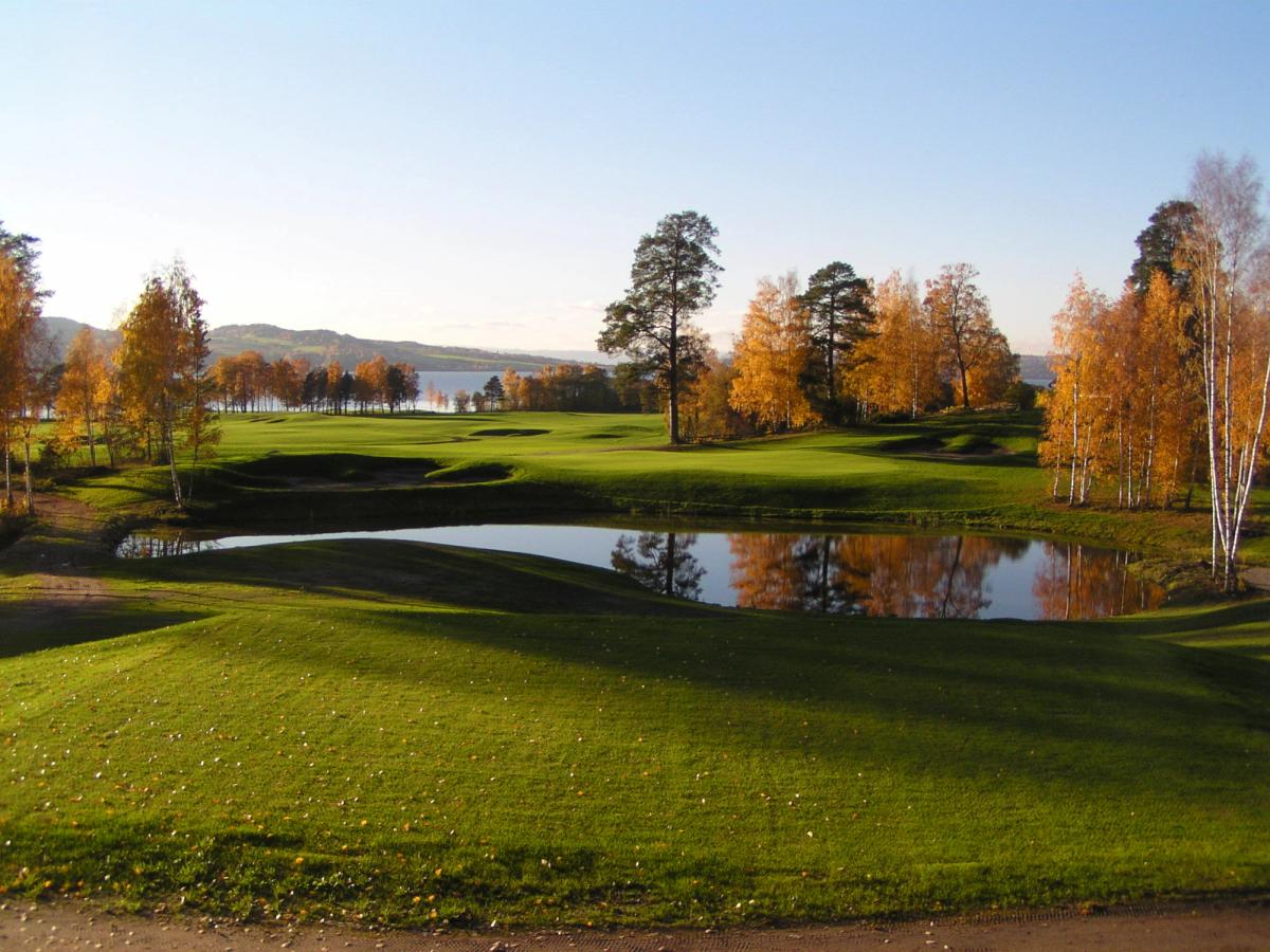 Hamar in Norwegen | Aktivitäten, Sehenswürdigkeiten, Hotels, Restaurants