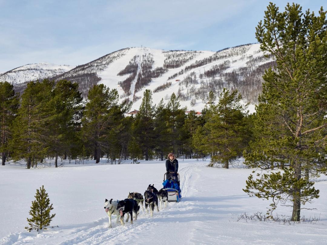 Geilo | A true winter wonderland